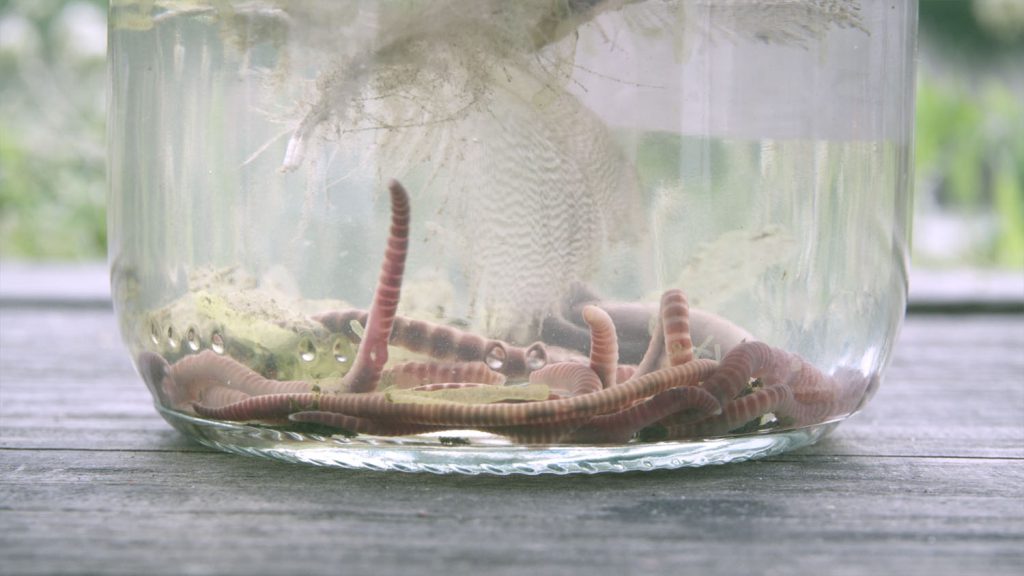 Fantasy Journey to Zarg • FLOATING BERLIN