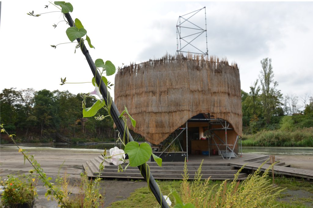 2.1 Rewildering Transformation • FLOATING BERLIN